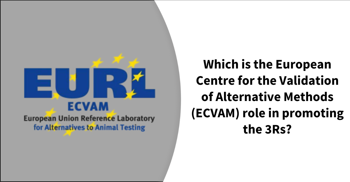 Which is the European Centre for the Validation of Alternative Methods (ECVAM) role in promoting ...